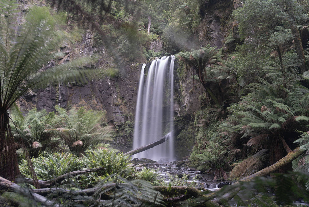 NORTHBORDERS V4 Preset Pack | Perfect for All Photographers – northborders